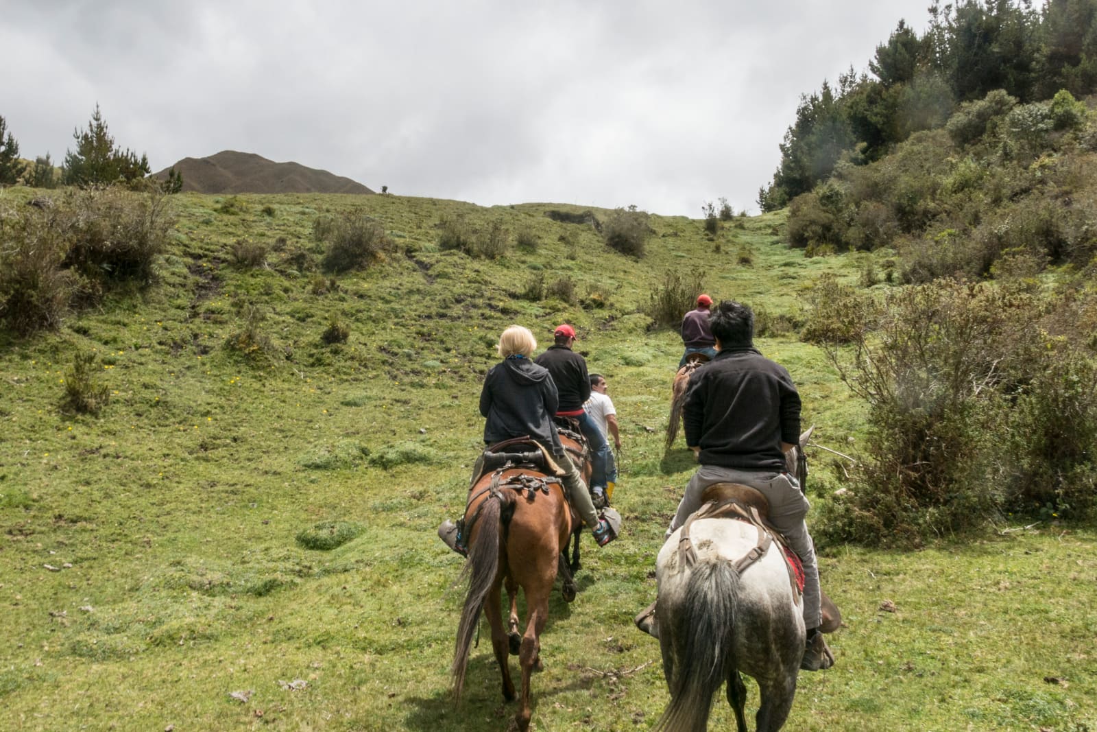Horseback Riding in the Andes | Ecuador Travel Photos